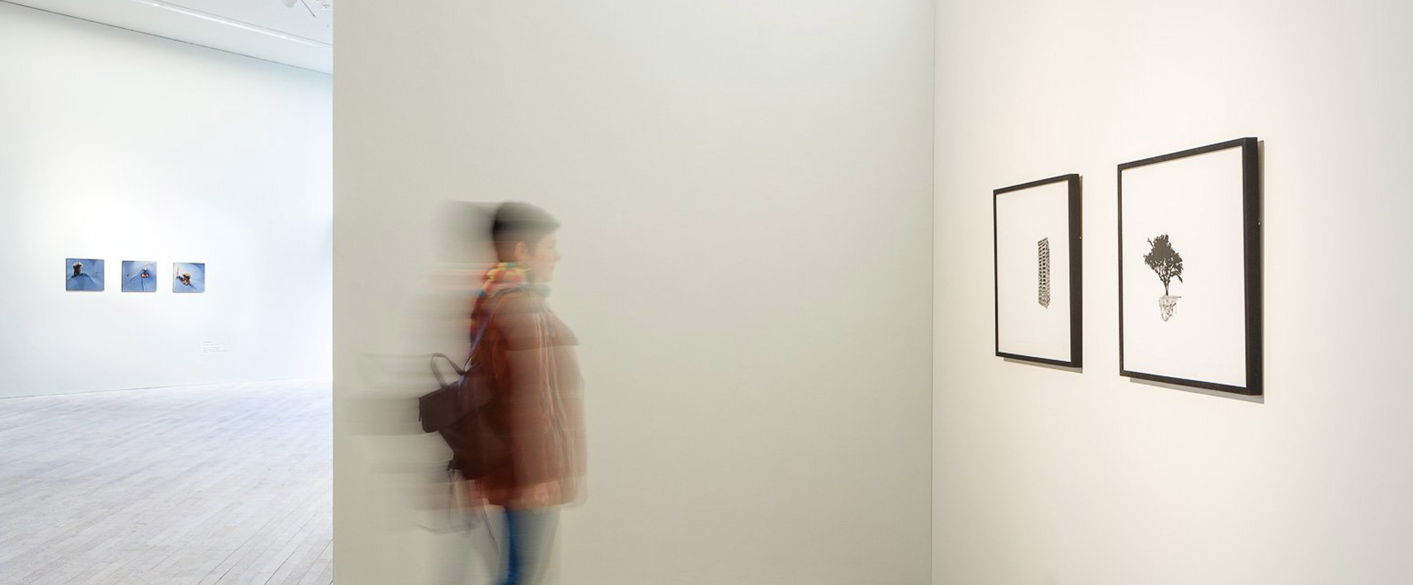 Visitor information | The Glucksman